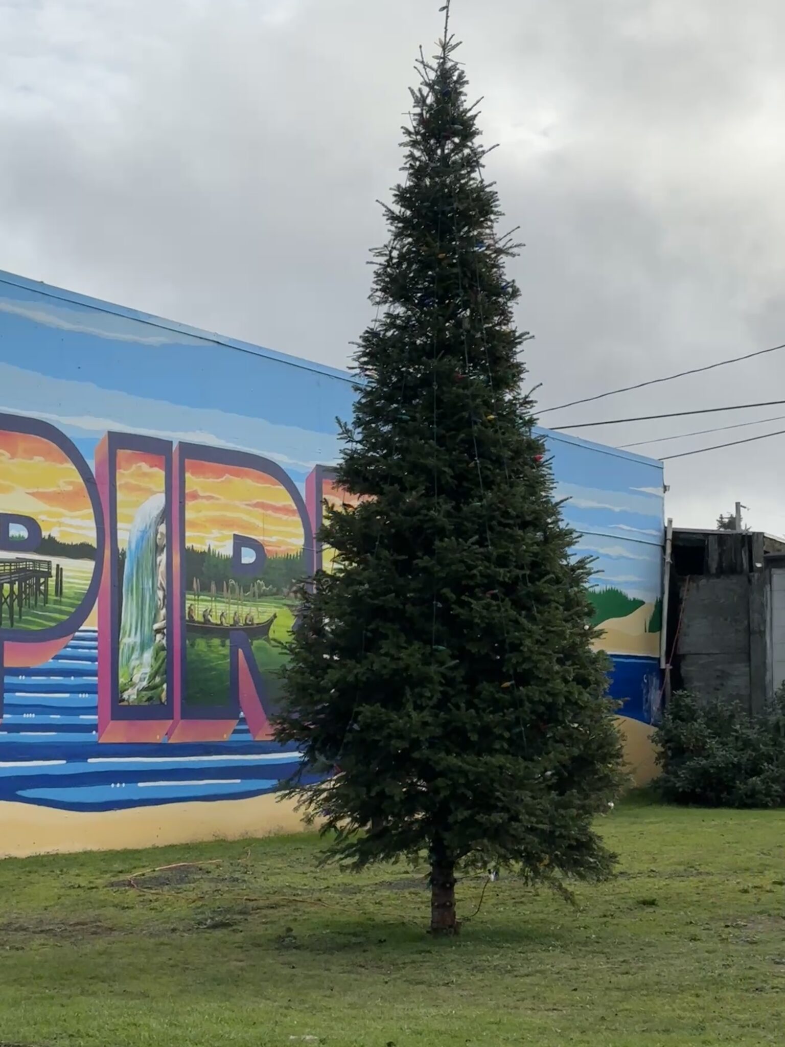 Empire Christmas Tree Lighting – Nestucca Spit Press Meditations